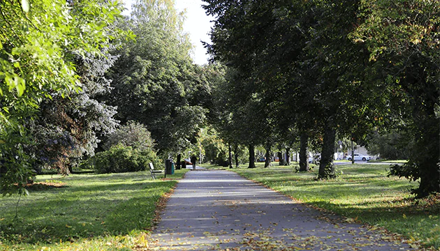 Your Guide to Living in Preston: Best Areas, Cost of Living & More